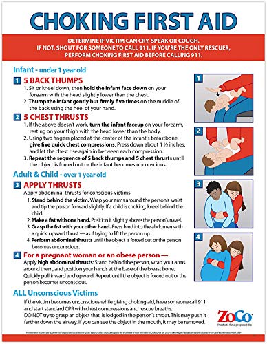 Choking Posters (5 Pack) for Infant, Child, Adult - Laminated, 17 x 22 inches - Heimlich ...