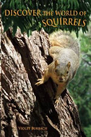 Discover The World Of Squirrels: Illustrated Kids Book With Fun Facts ...